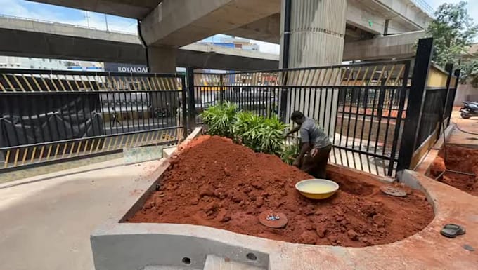 Design your green pockets by Chalkandsoot | Fiverr