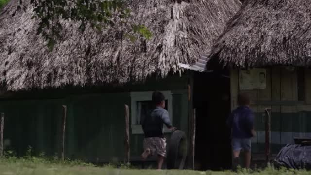 Edit your video or another anything by Herien3489 | Fiverr