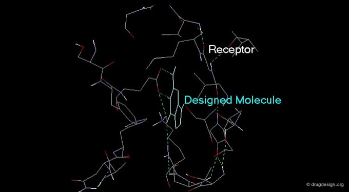 Do molecular docking , drug designing , md simulation by Adanshah1357 | Fiverr