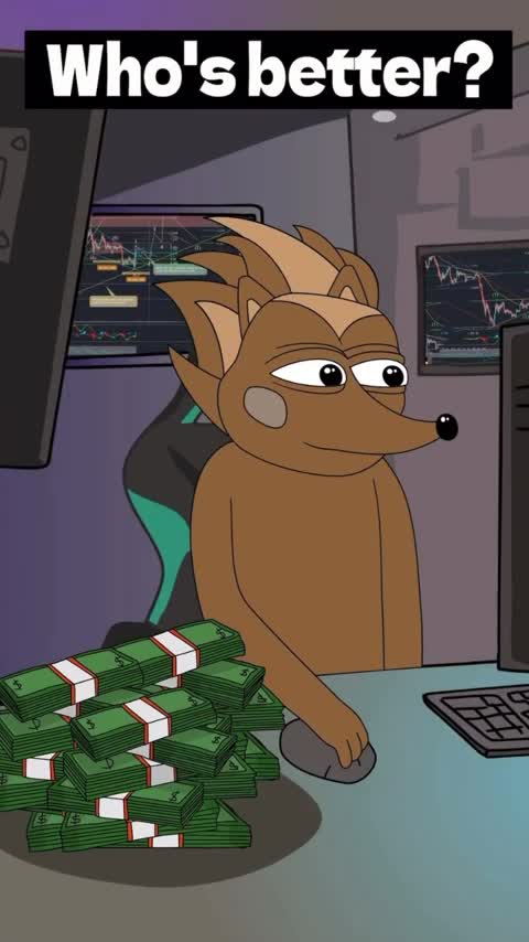 Do 2d meme art video, memecoin animation,2d crypto art animation ...