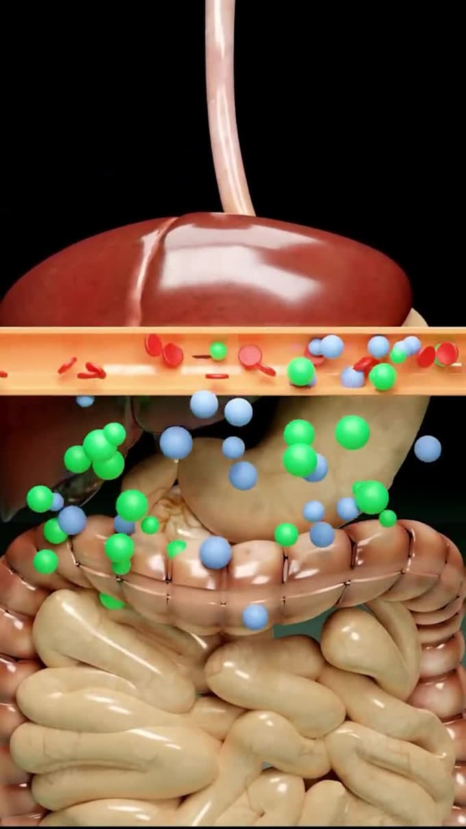 Create quality 3d medical animation, 3d animation, surgery animation by ...