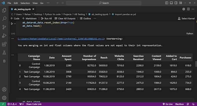 Do data cleaning and data visualization in python by Rehanrafique990 | Fiverr