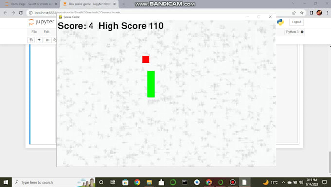 Help You With Python Project Programming Tasks By Sairaabbasi Fiverr