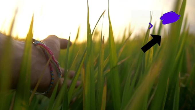 Create a custom animated watermark from your logo by Babaralibannu | Fiverr