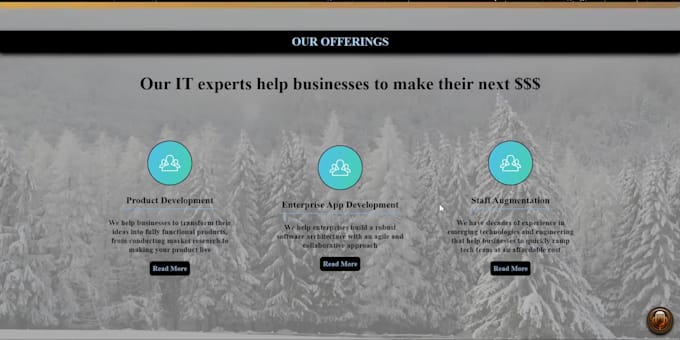 Create websites using html, css and javascript by Mansi2063 | Fiverr