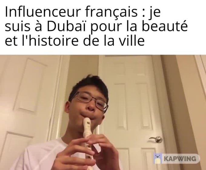 Professionally write funny memes for you, in french and english by ...