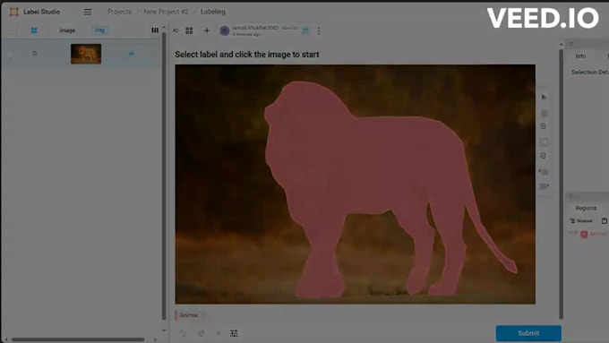 Do image annotation, bounding boxes, key points, polygons within 24hrs ...