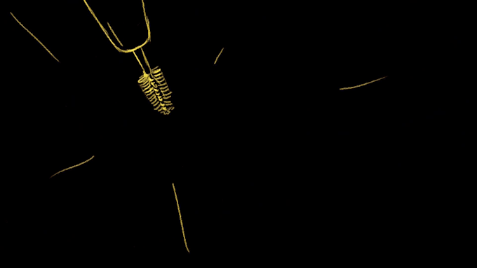 Make an originall line art animated music video by Agataszwarc | Fiverr