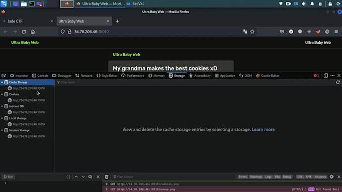 Teach you capture the flag ctf step by step by Alinboby_2025 | Fiverr