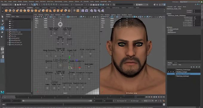 Build 3d Character Rigging In Any Software Ik Fk Rig3d Blendshape Skin Etc By Ollalofa Fiverr 