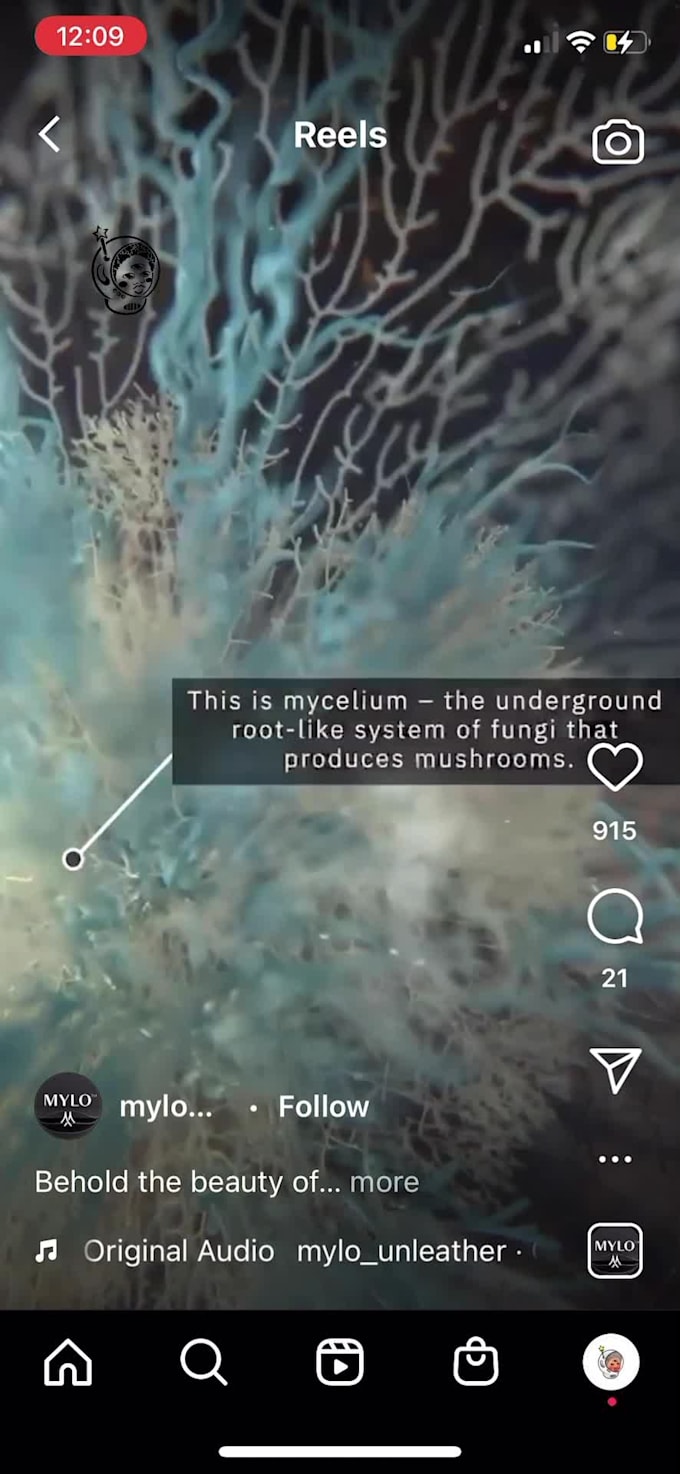 Edit tik tok and ig reels videos for singers and musicians by Rhysahall ...