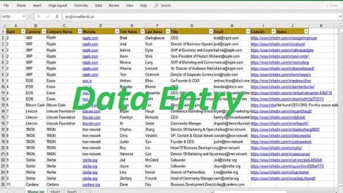 Do accurate data entry, web research, copy paste and excel data entry jobs by Sifat_mahmud32 ...