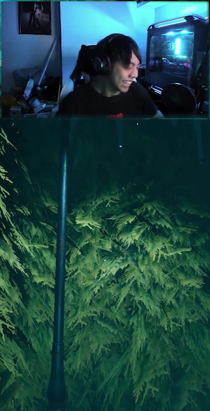 Edit short gaming clips for your platform by Dreiifernandes | Fiverr