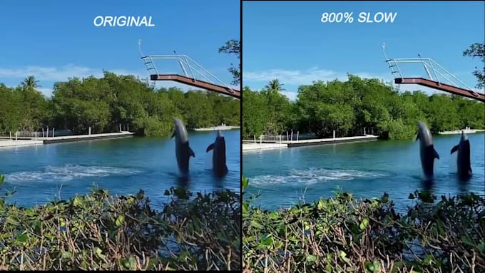 Create a smooth slow motion effect from your video using ai by ...