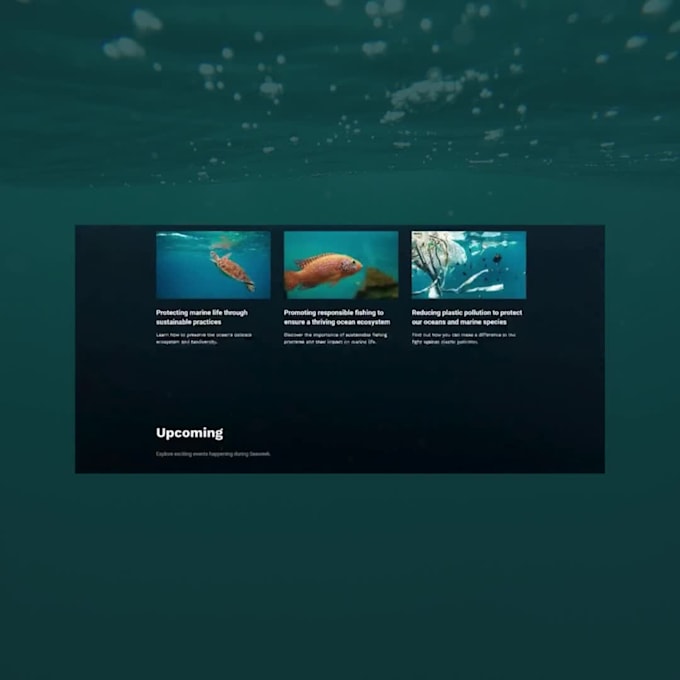 Design a interactive and modern website using wix by Ryan_leong1 | Fiverr