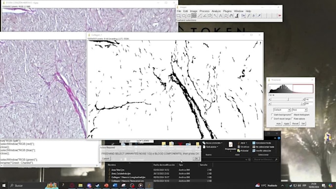 Develop macro code for your image data analysis needs through imagej by ...
