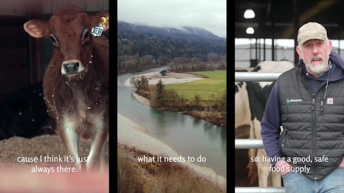 Edit your footage into a visually impactful story by Leikapatch | Fiverr