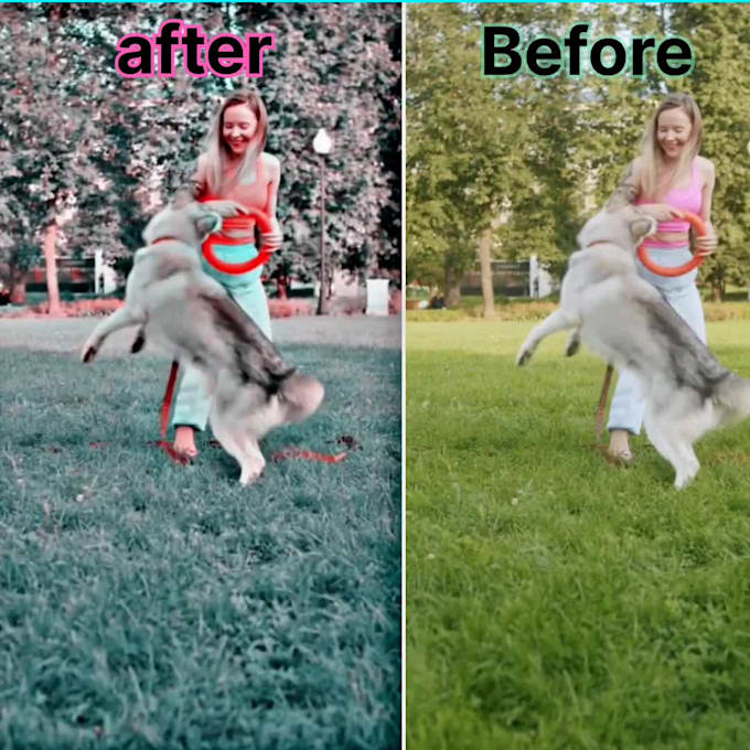 Create a normal video photos to convert 4k quality hdr cc by Sushanta09 ...