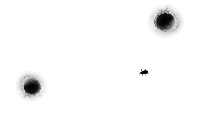 A cockroach run across the screen by Factfoolgame | Fiverr