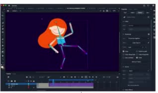 Rig and create adobe character animator puppet 2d cartoon animation game puppet by Oluwa ...