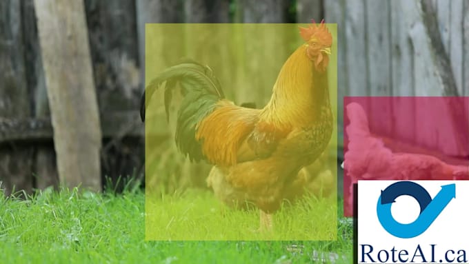 Annotate and label images for object detection models by Mozammelmotalab | Fiverr