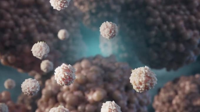 Create your 3d medical anatomy, scientific biomedical illustration, 3d ...