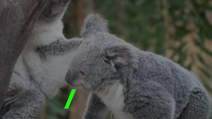 Make visual assets for you by Koalaedit | Fiverr