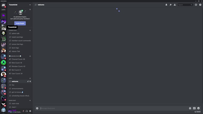 Design a nice sleek discord server for you by Zuptil | Fiverr