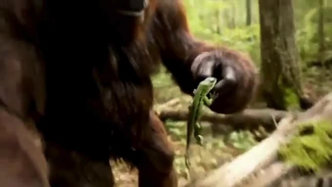 Create epic bigfoot pov adventure vlogs using ai by Vlogbigfoot | Fiverr