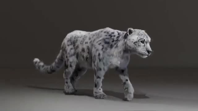 Realistic 3d animal animation, 3d cgi animal animation 3d creature ...
