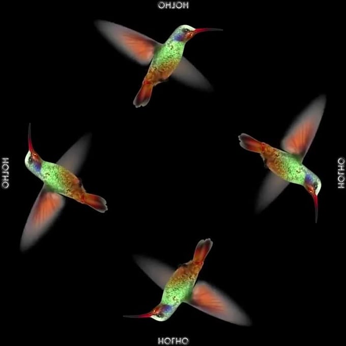 Create 3d hologram fan video, 3d hologram animation, 3d holographic, 3d ...