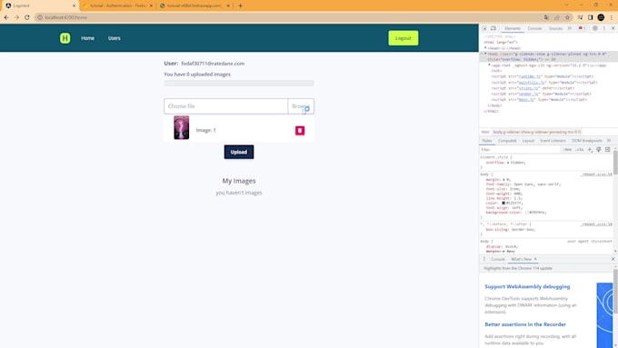 Develop login your web app using firebase authentication by Luisxmeza | Fiverr