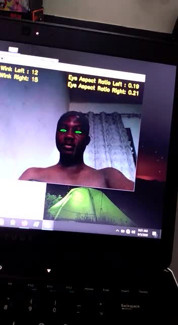 Do your python, opencv, object detection projects for you by Maxyawtwum ...