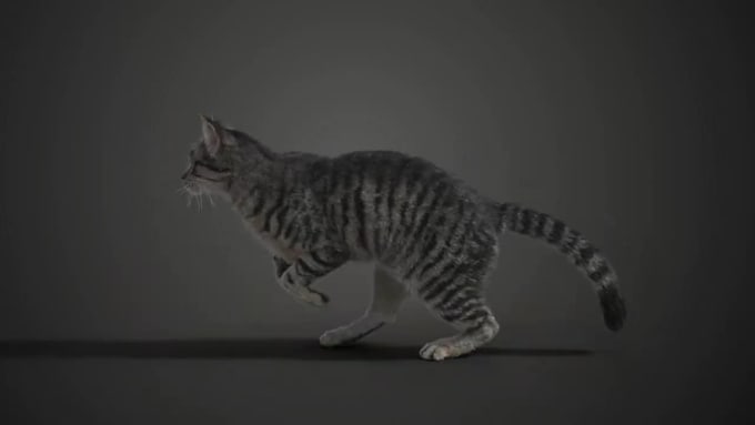Do high quality 3d animal model, texture, rig and animation with ...