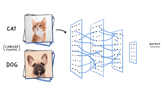 Write your image processing and computer vision project by Teossa | Fiverr