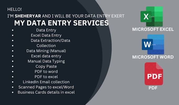Do data entry, excel, file conversion and web scraping by Warsi8808 | Fiverr
