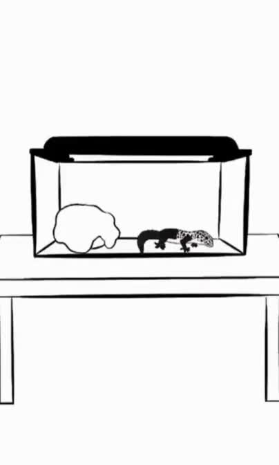 Do 2d line art animation 2d line art, line art animation, pencil ...