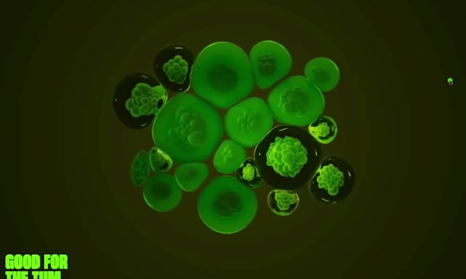3d Webflow Website Web Animation Threejs Opengl Webgl 3d Product Animation By Jamesart62