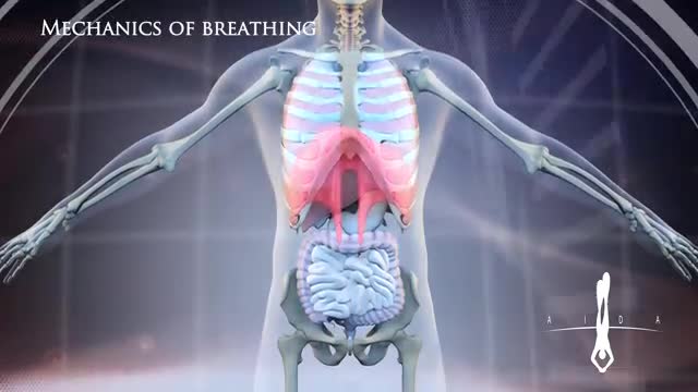 Create 3d medical animation, 3d explainer animations, medical procedures by Roheemot_studio | Fiverr