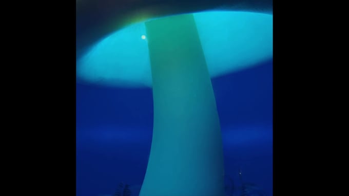 Create high quality 3d animations by Tinyrender | Fiverr