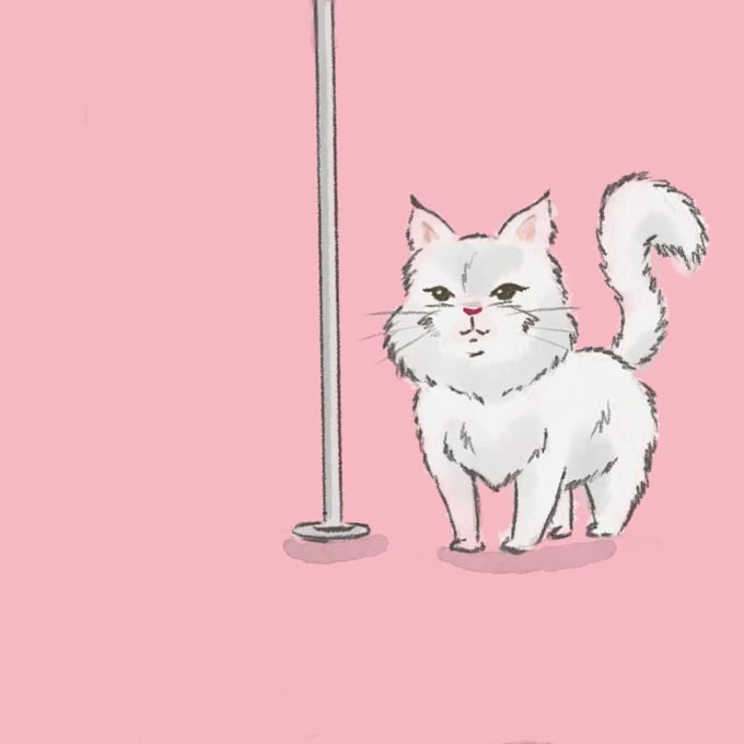 Make a simple 2d animation video for your project by Tanislava | Fiverr