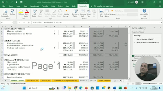 Prepare professional financial statements and its analysis by ...