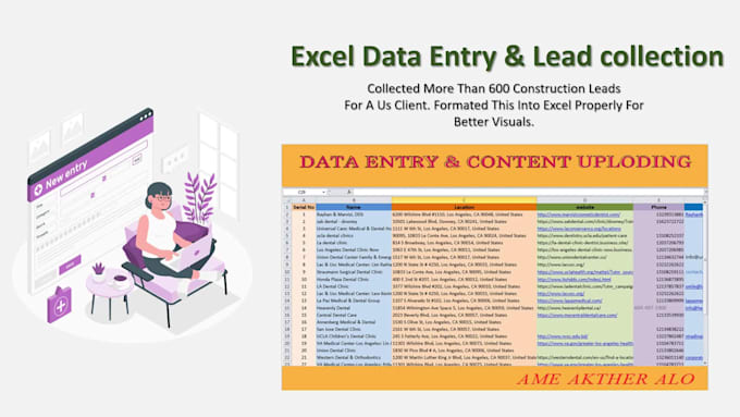 Do perfect data entry, web research and excel expert by Ameaktheralo ...