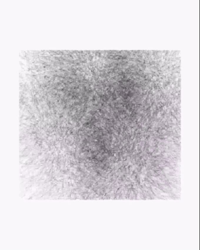 Create a full visual identity with guidelines and needed deliverables ...