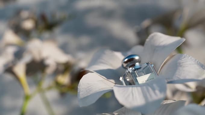 Do 3d perfume animation 3d perfume bottle fragrance animation 3d ...