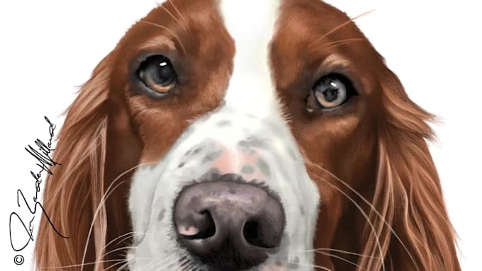 Draw realistic art portrait of your favorite pet, cat, dog, horse or ...