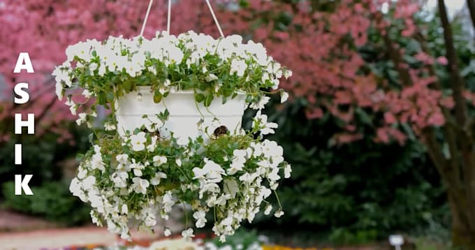 Create relaxing nature video for you by Th_ashik | Fiverr