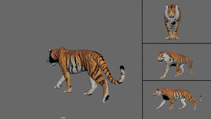 Make animal animation videos, 3d animal models, and animal design by ...