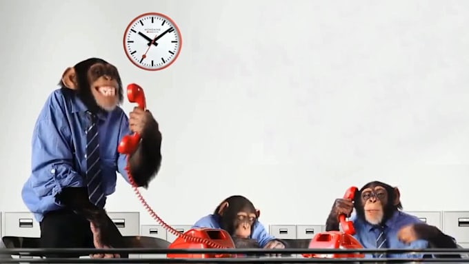 Add your logo in this funny busy monkey video by Modernvfx | Fiverr