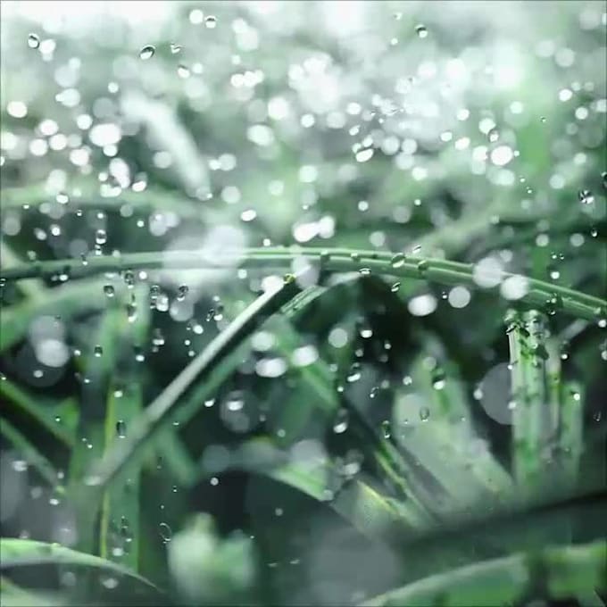 Create 3d cgi perfume animation 3d bottle animation 3d fragrance animation by Folakemib | Fiverr